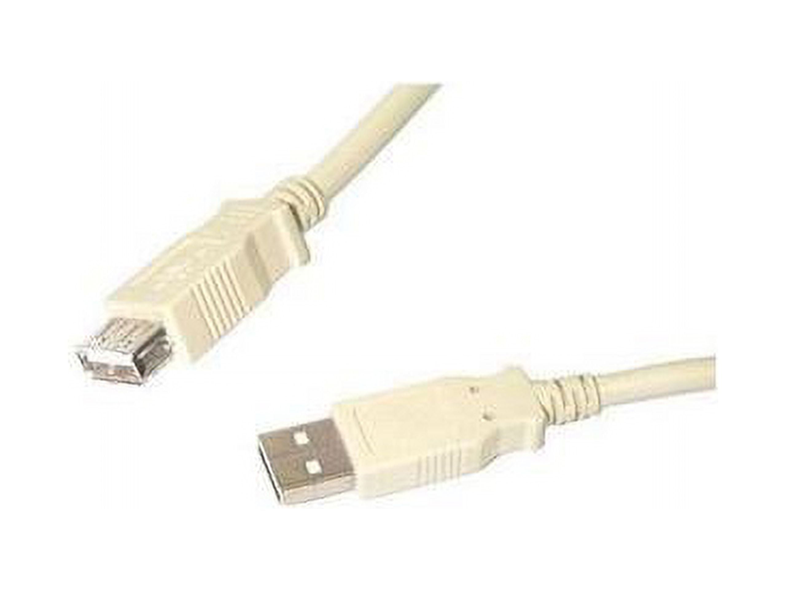 StarTech.com USBEXTAA_6 Beige USB 2.0 Extension Cable A to A - M/F ...