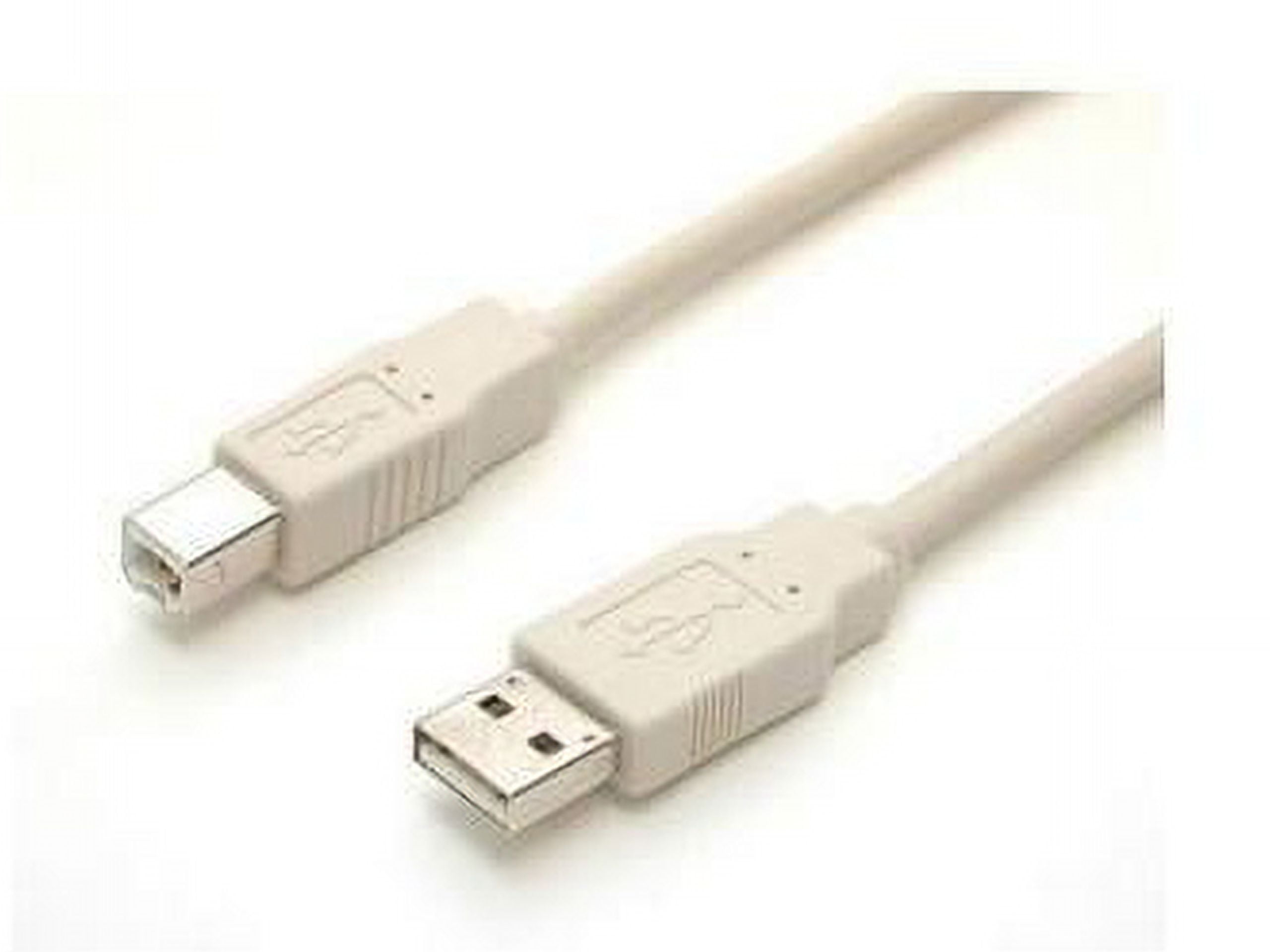StarTech.com USBFAB_10 Beige Beige A to B USB 2.0 Cable - M/M - Walmart ...