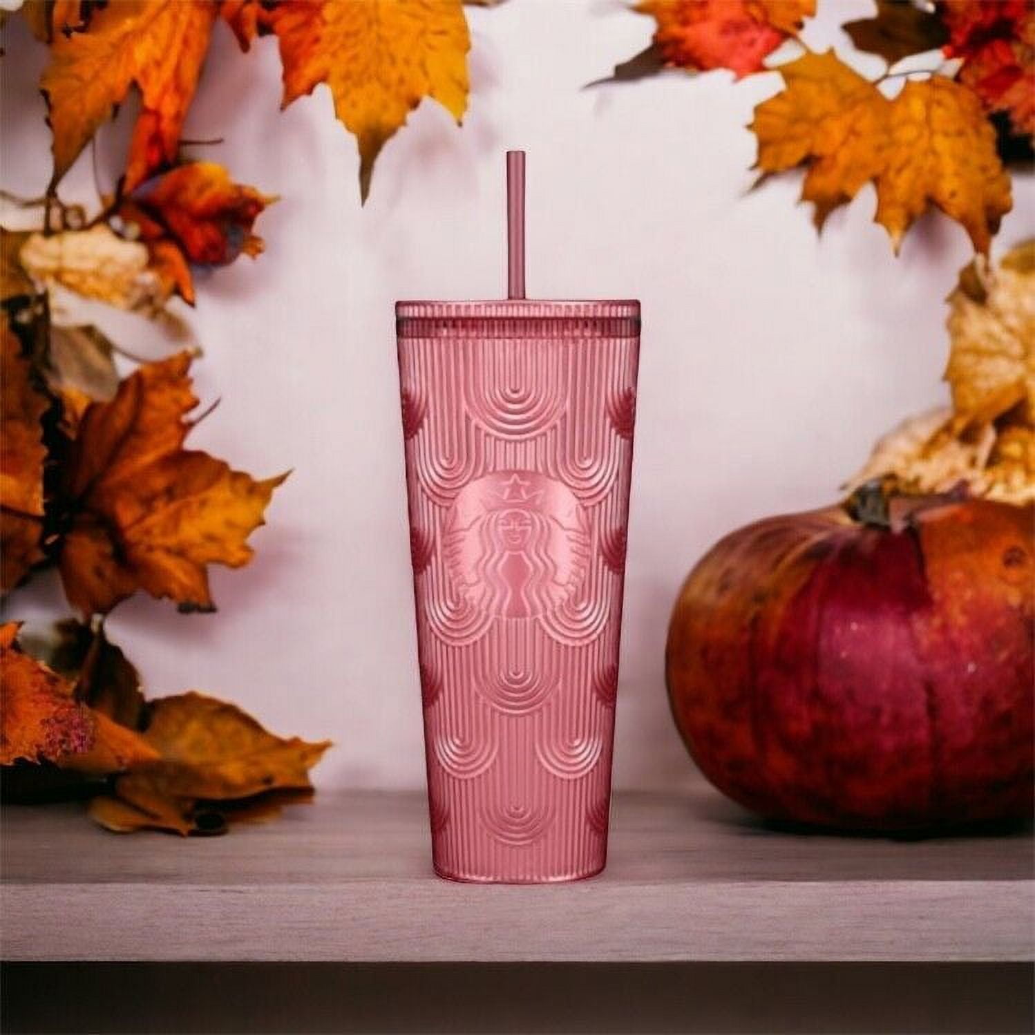 Starbucks Insulated Acrylic Straw Tumbler, 24 oz, 2023 Fall Edition ...