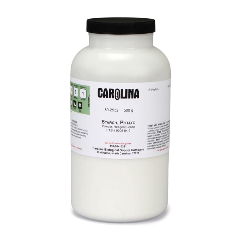 Potato White Powder