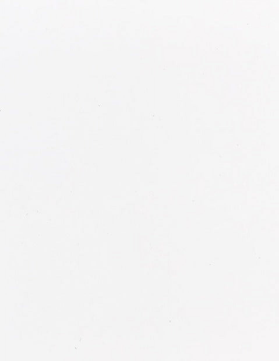 Starch White Speckletone Cover | 100 lb | 270 gsm / 8.5 x 11 / 25 ...