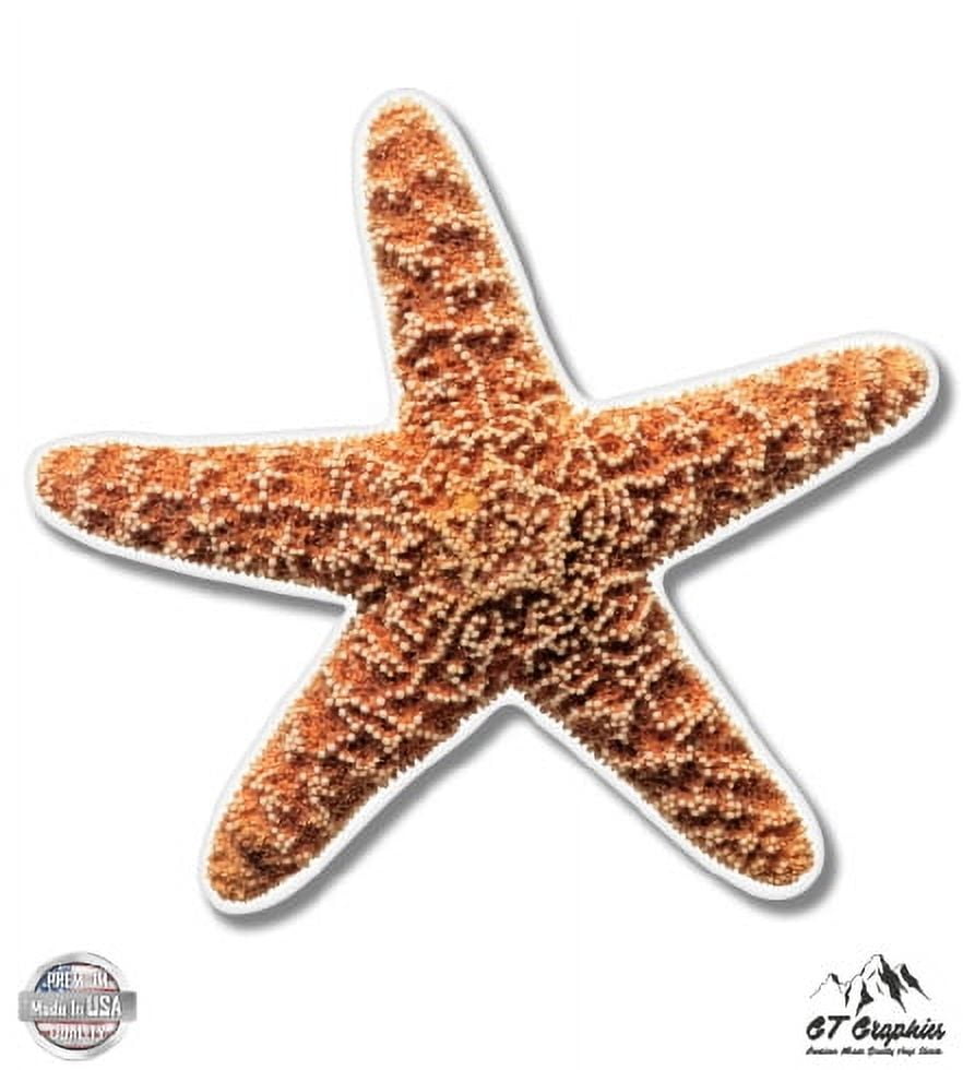 Starfish - 8" Vinyl Sticker - For Car Laptop I-Pad - Waterproof Decal ...