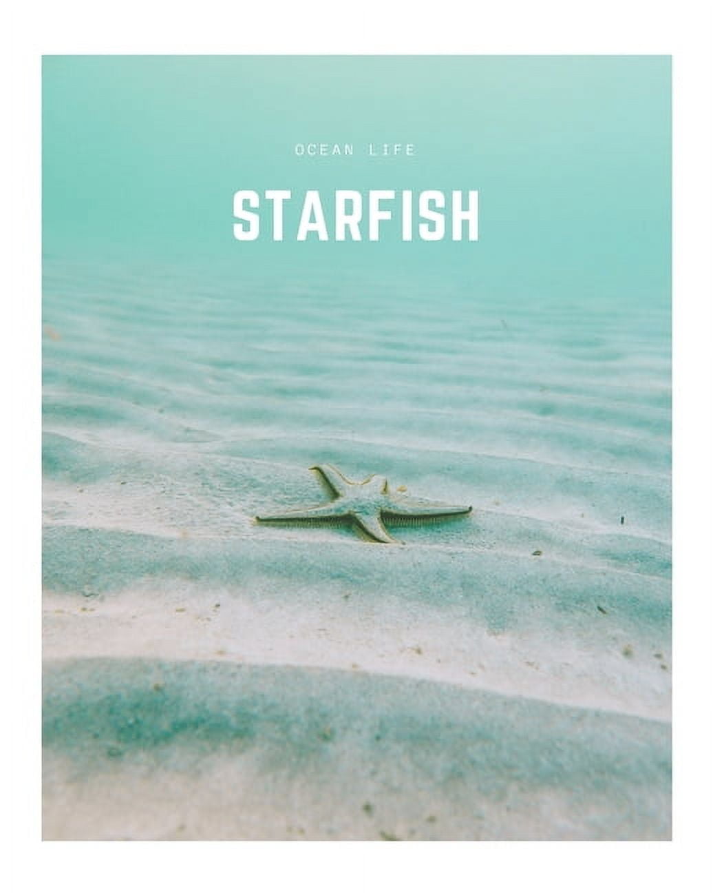 Starfish: A Decorative Book │ Perfect for Stacking on Coffee Tables & Bookshelves │ Customized ...