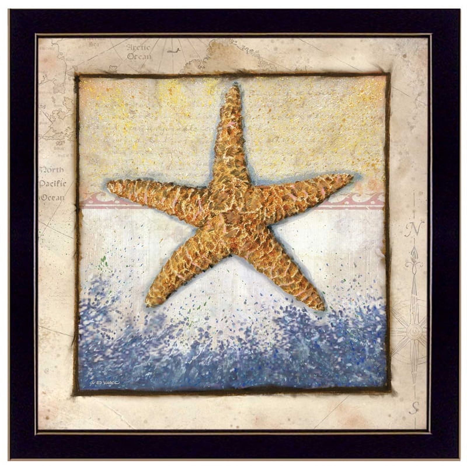 Starfish By Ed Wargo Printed Black Framed Wall Art Wood Multi-Color ...