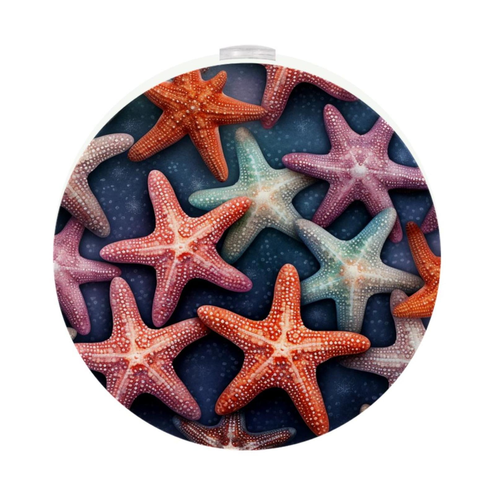 Starfish Circular Night Light - Pack of 2, LED Induction Control, Room ...