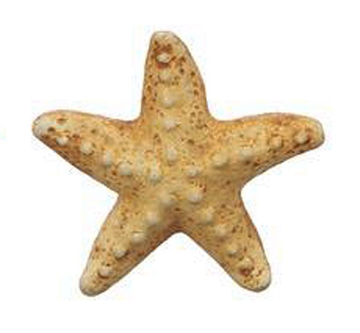 Starfish Figurine - At The Shore Fantasy Collection by Ganz - Walmart.com