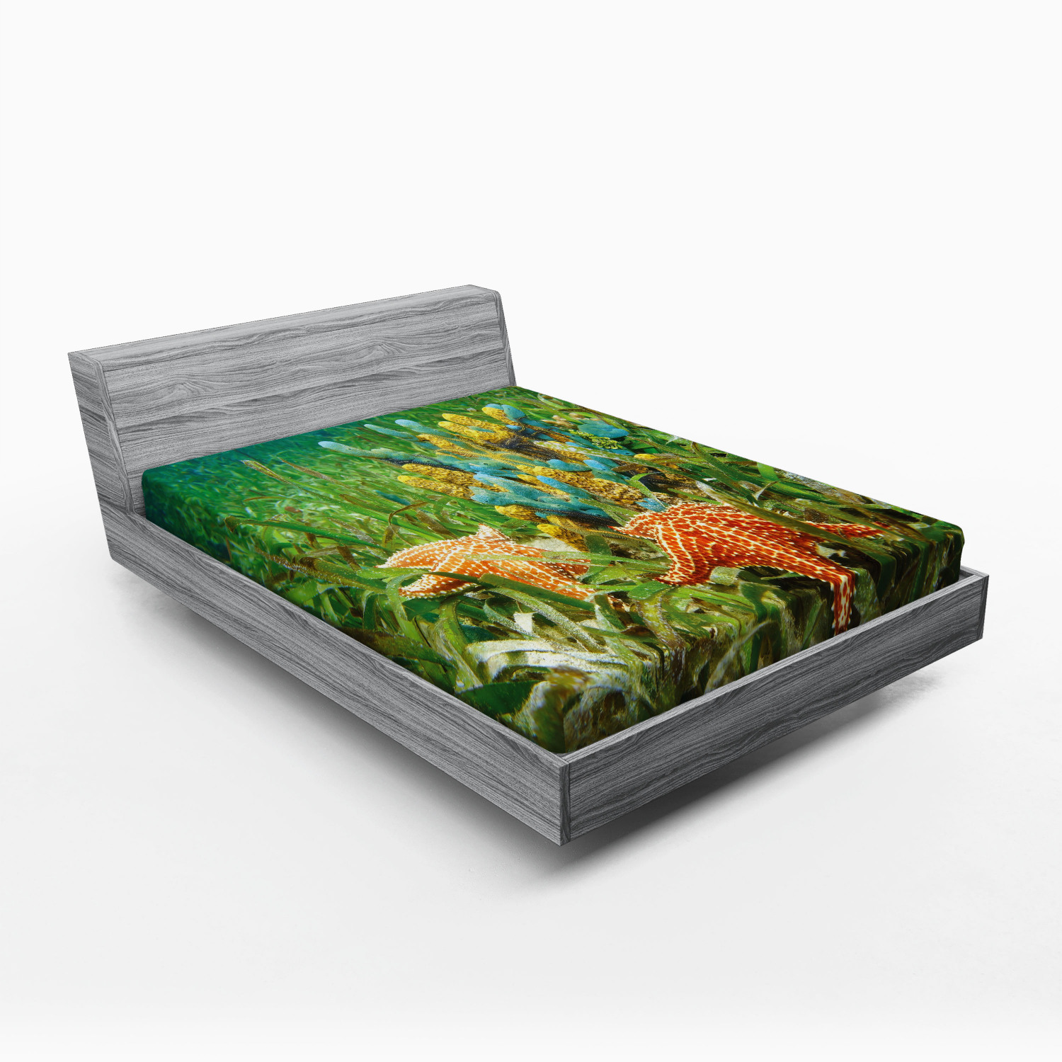 Starfish Fitted Sheet, Underwater Marine Life with Colorful Sponges and ...