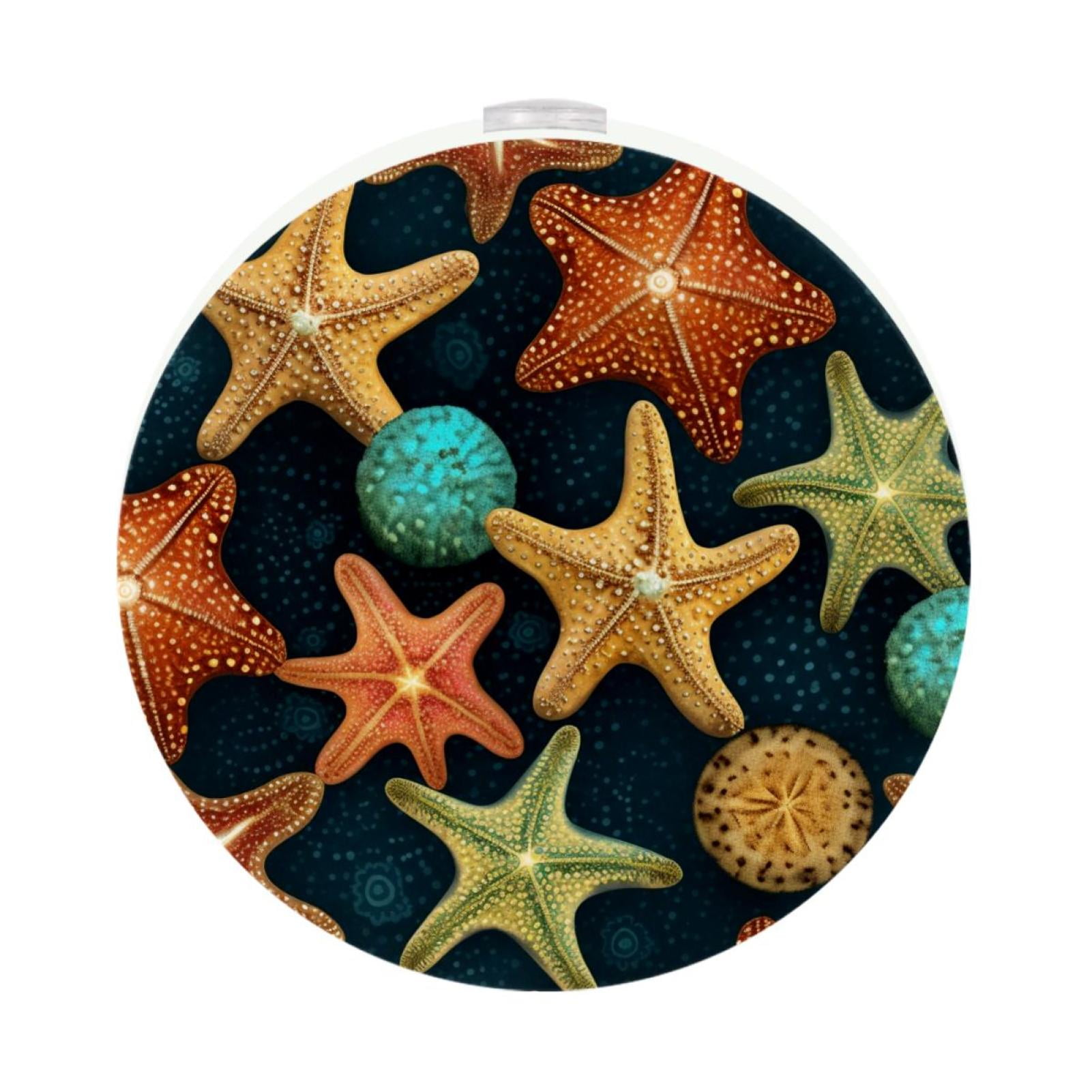 Starfish LED Small Night Lights - Wall Light, Set of 2, Induction ...