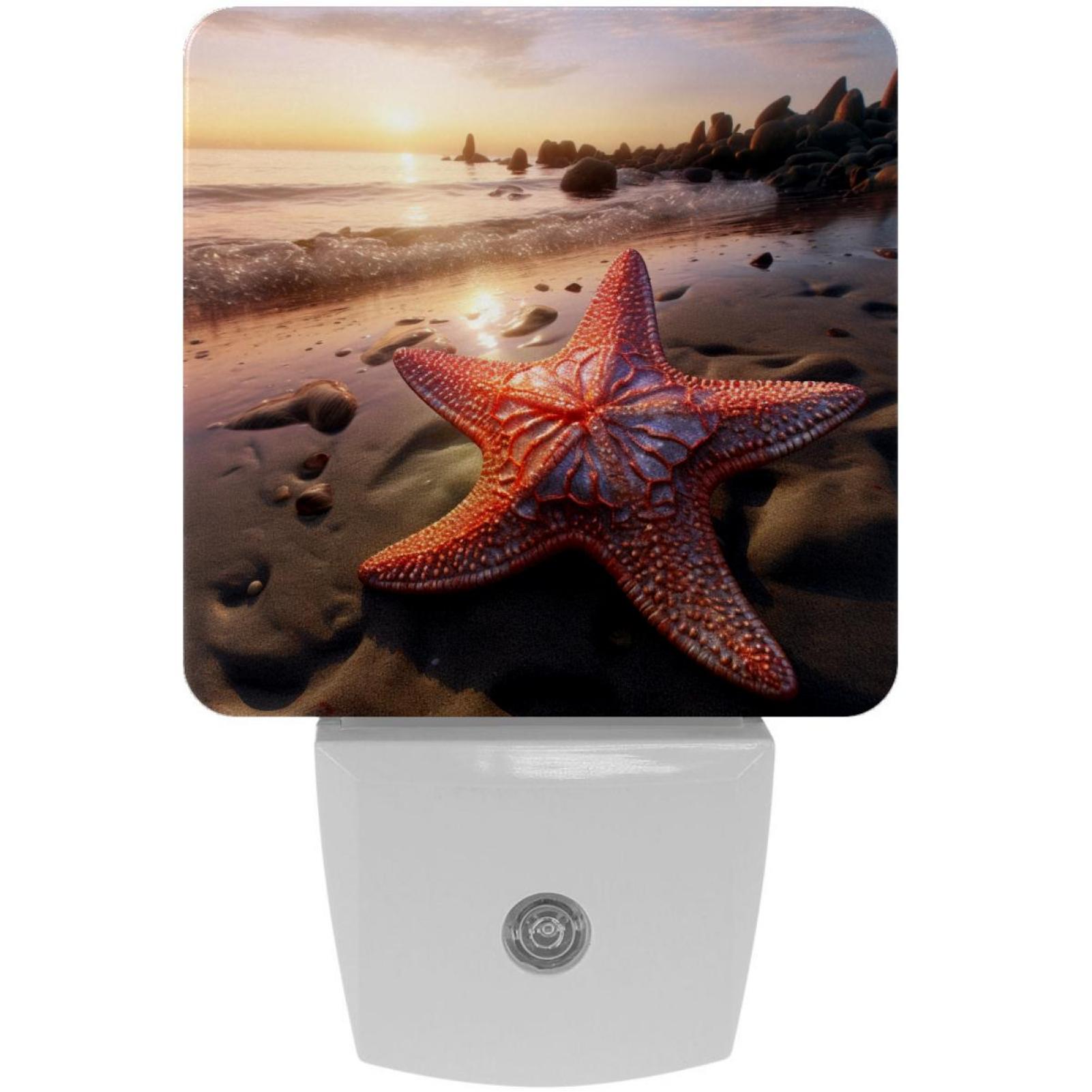 Starfish LED Square Night Light - Compact and Energy Efficient ...