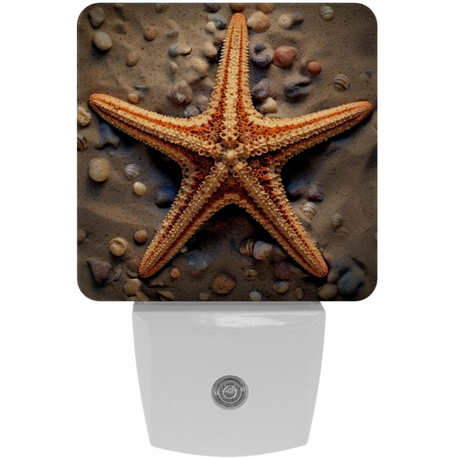 Starfish LED Square Night Light - Compact and Energy Efficient ...