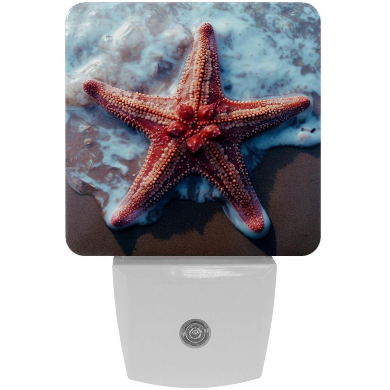 Starfish LED Square Night Light - Soft Glow Plug-in Lamp with Dusk to ...