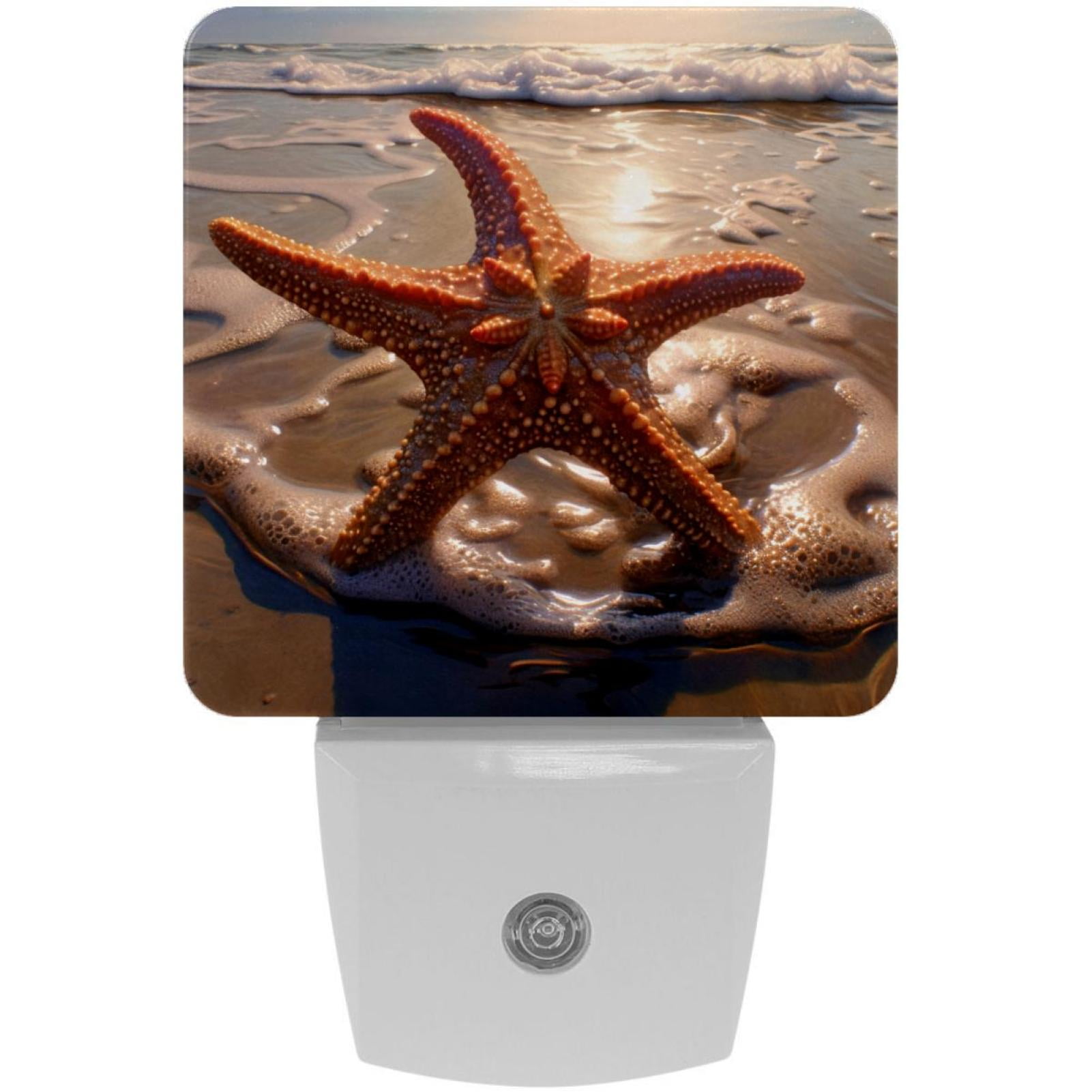 Starfish LED Square Night Lights - Bedside Lighting Solution for a ...