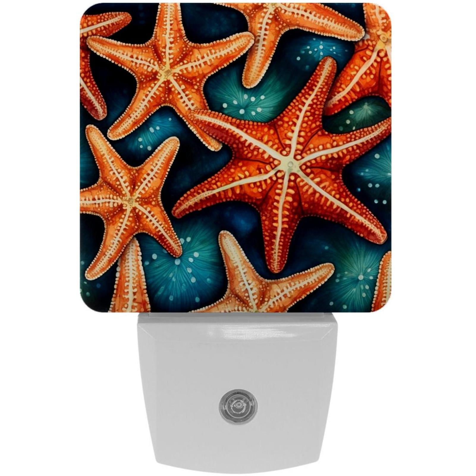 Starfish LED Square Night Lights - Bright and Compact Bedroom or ...
