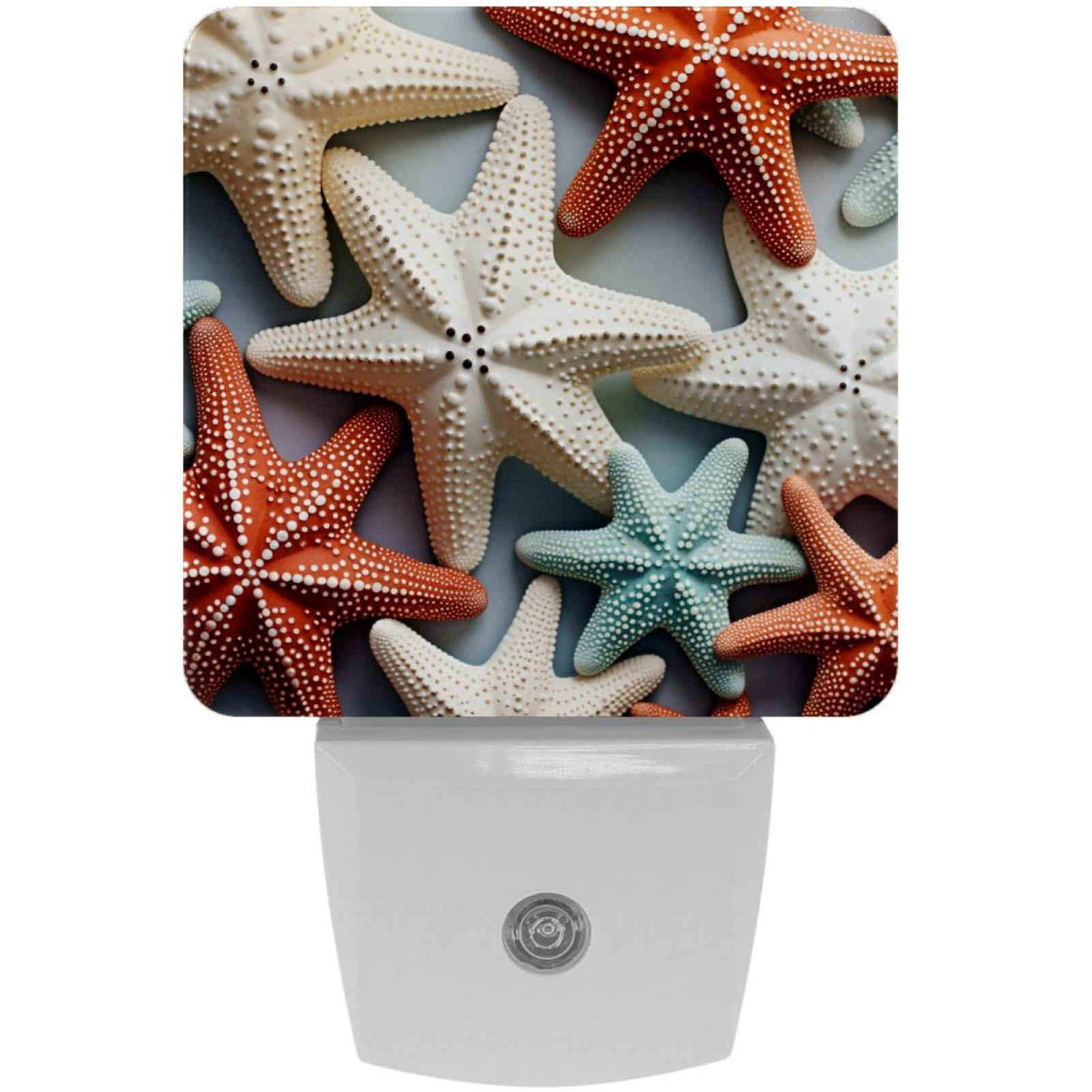 Starfish LED Square Night Lights: Compact and Energy-Efficient ...