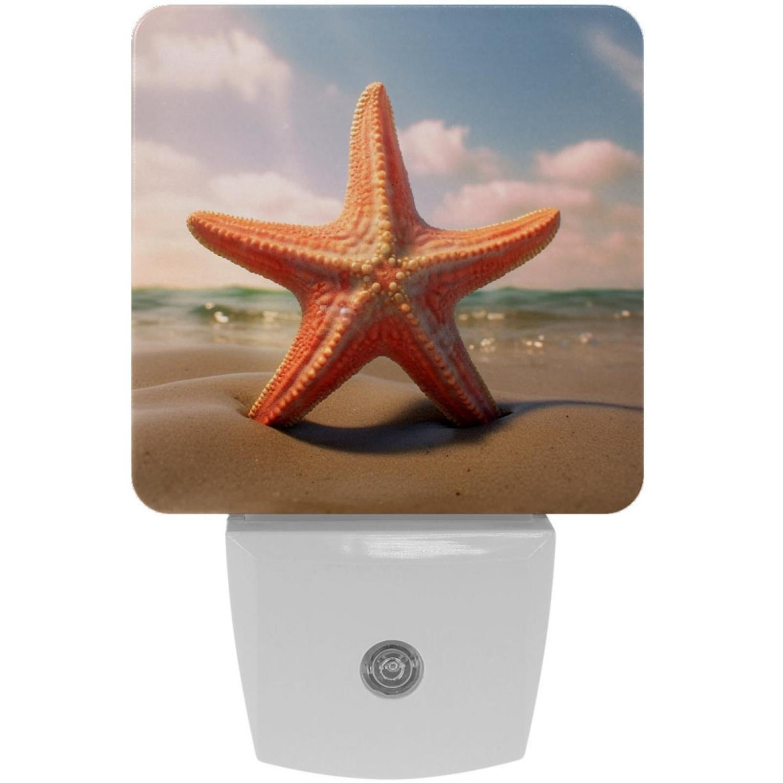 Starfish LED Square Night Lights - Compact and Multifunctional ...