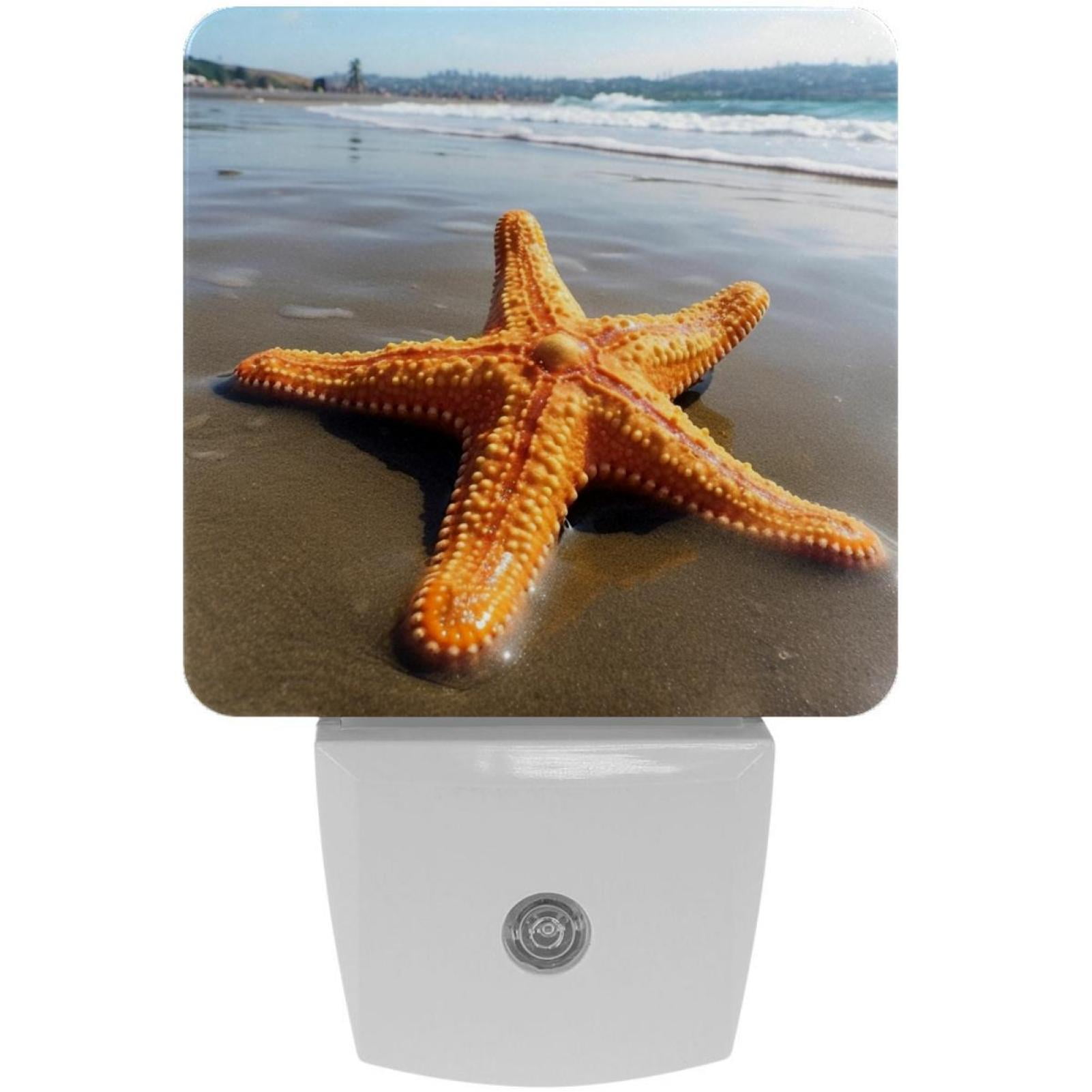 Starfish LED Square Night Lights - Elegant and Energy Efficient ...