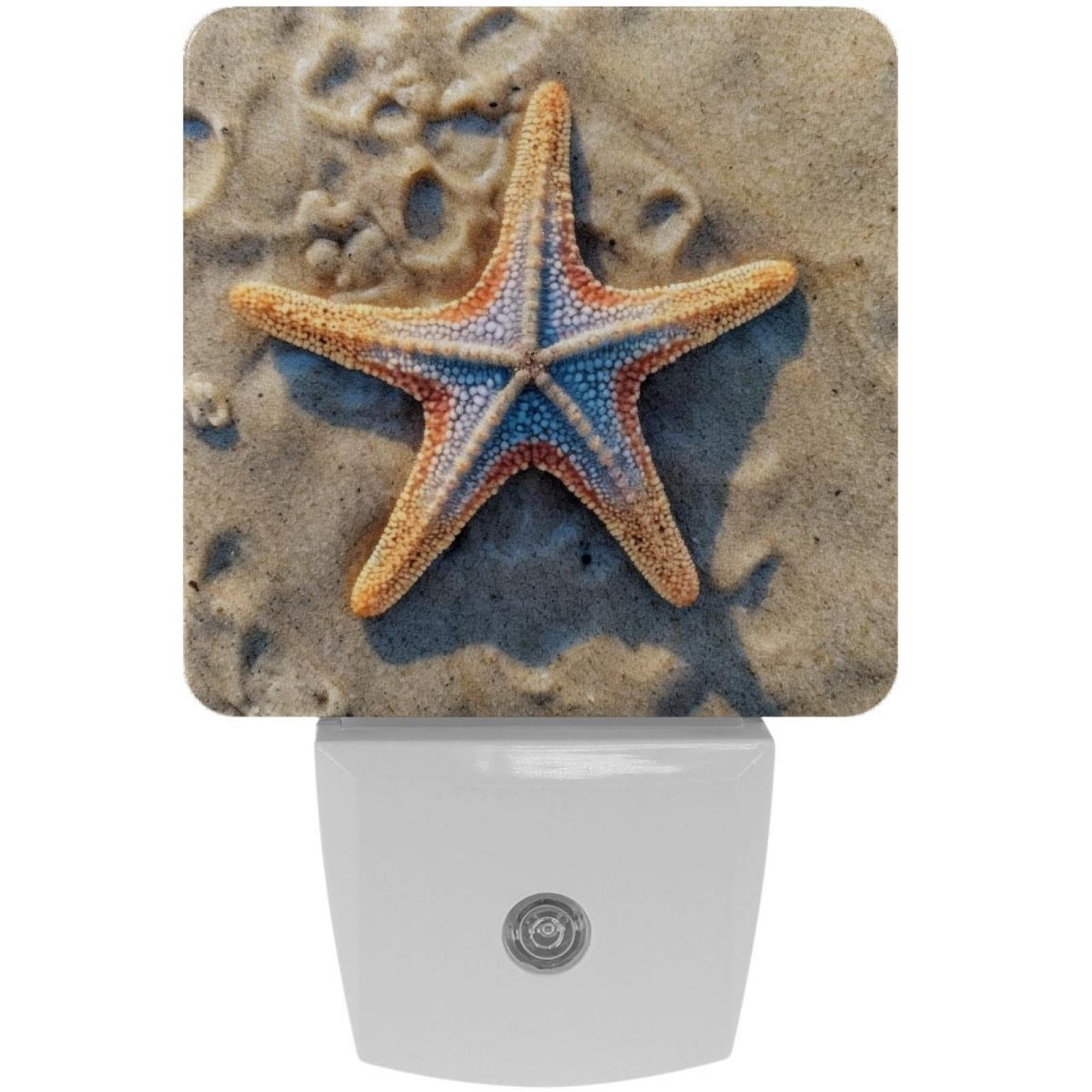 Starfish LED Square Night Lights - Energy Efficient & Elegant ...