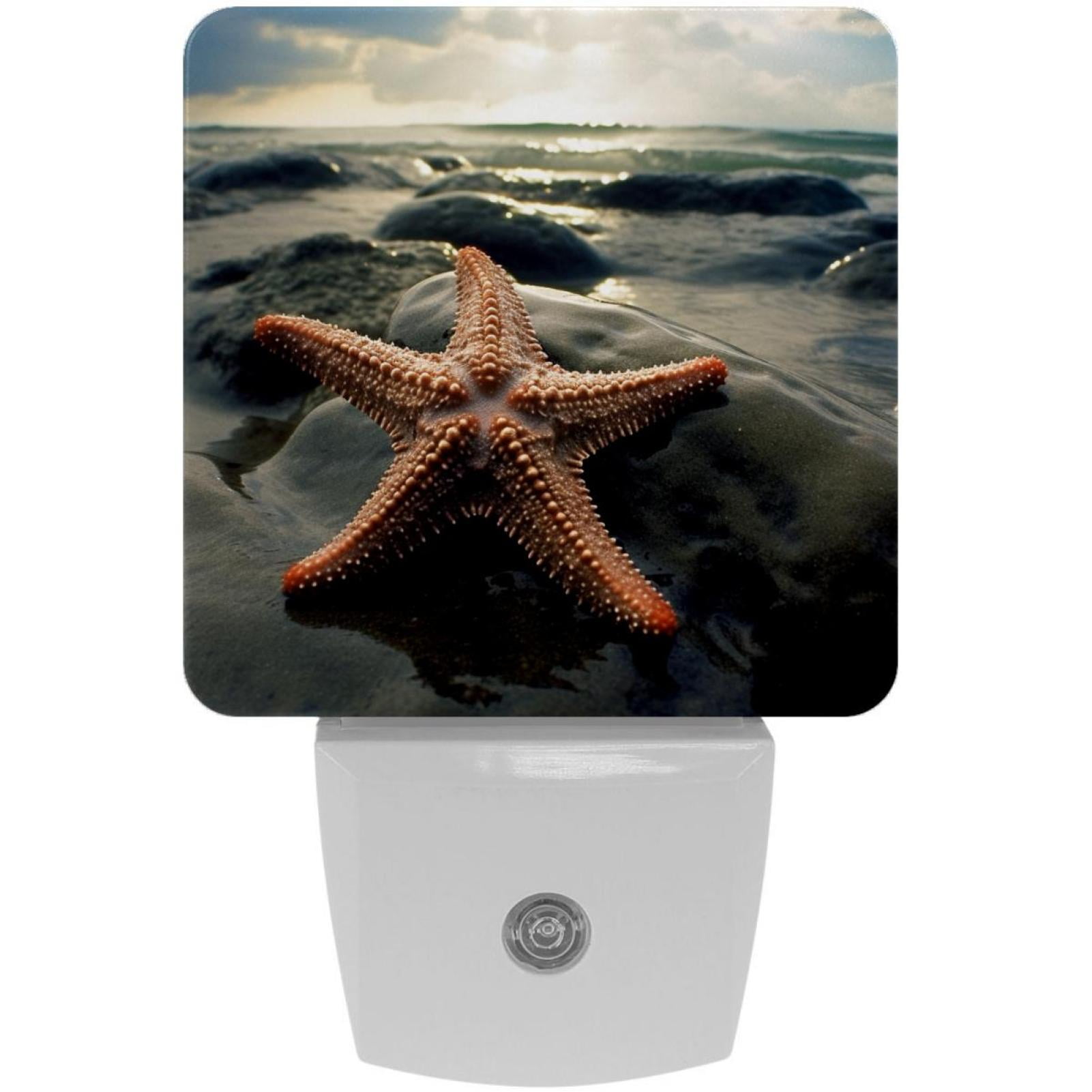 Starfish LED Square Night Lights - Energy Efficient & Elegant ...
