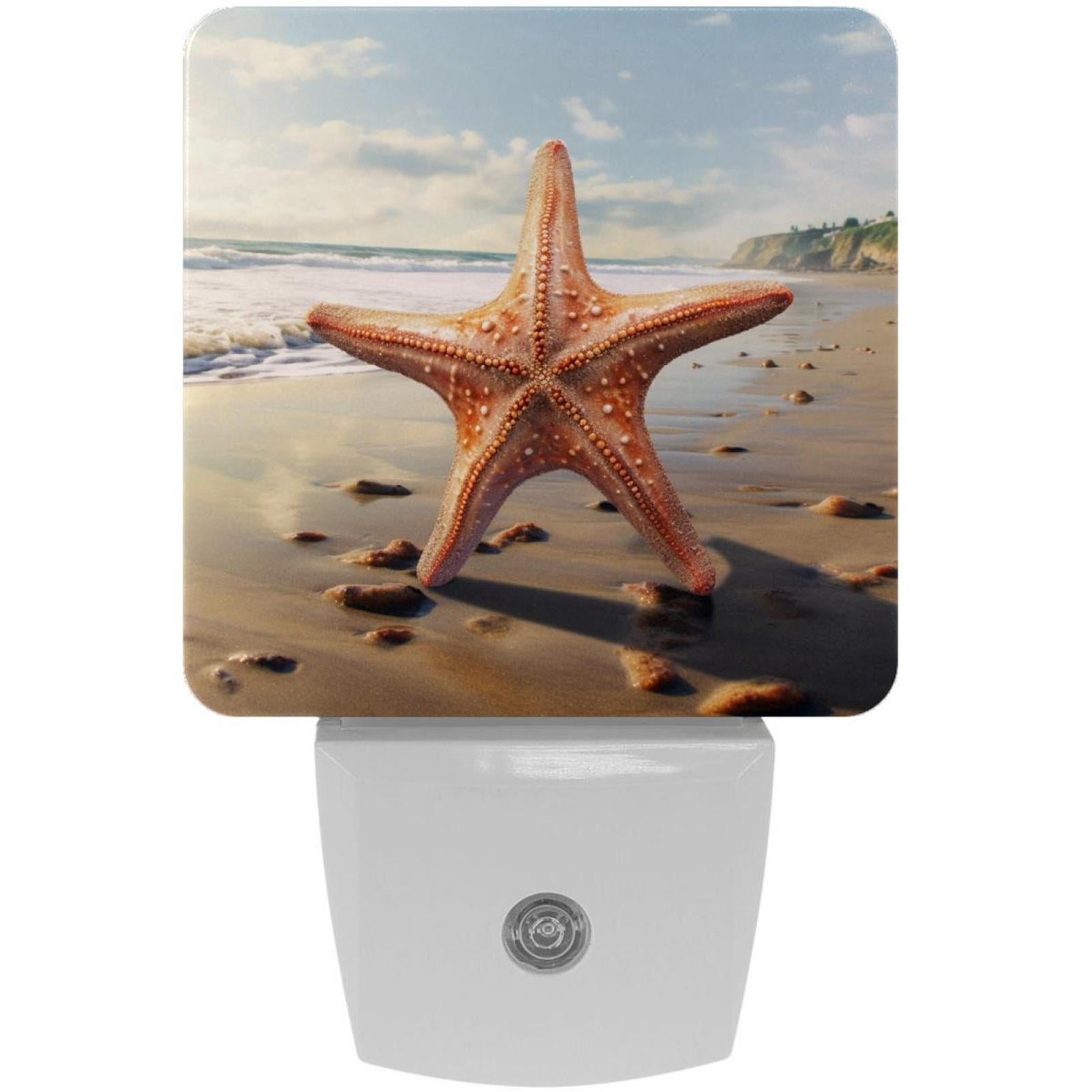 Starfish LED Square Night Lights: Innovative Illumination for a ...