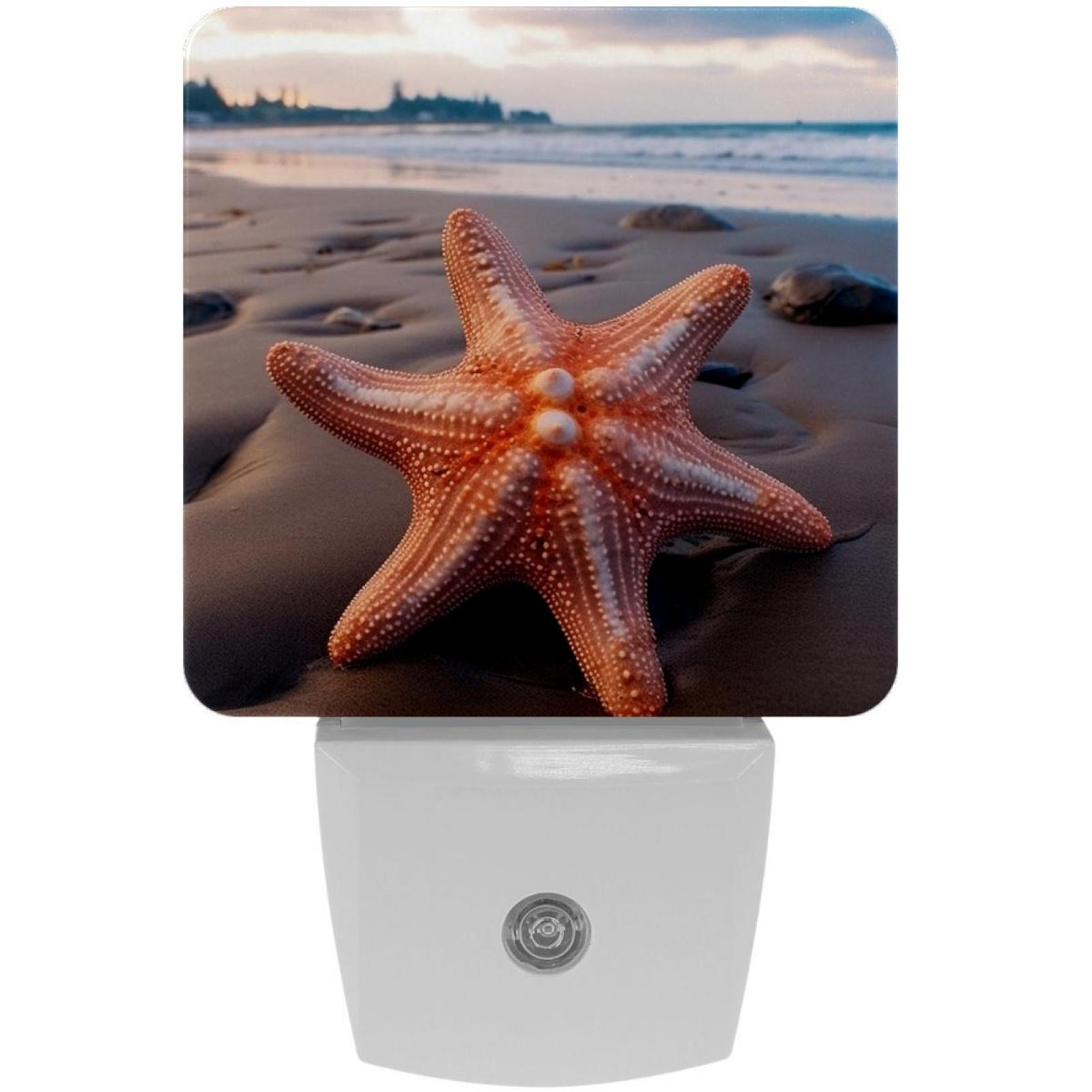 Starfish LED Square Night Lights- Modern and Energy Efficient Bedside ...