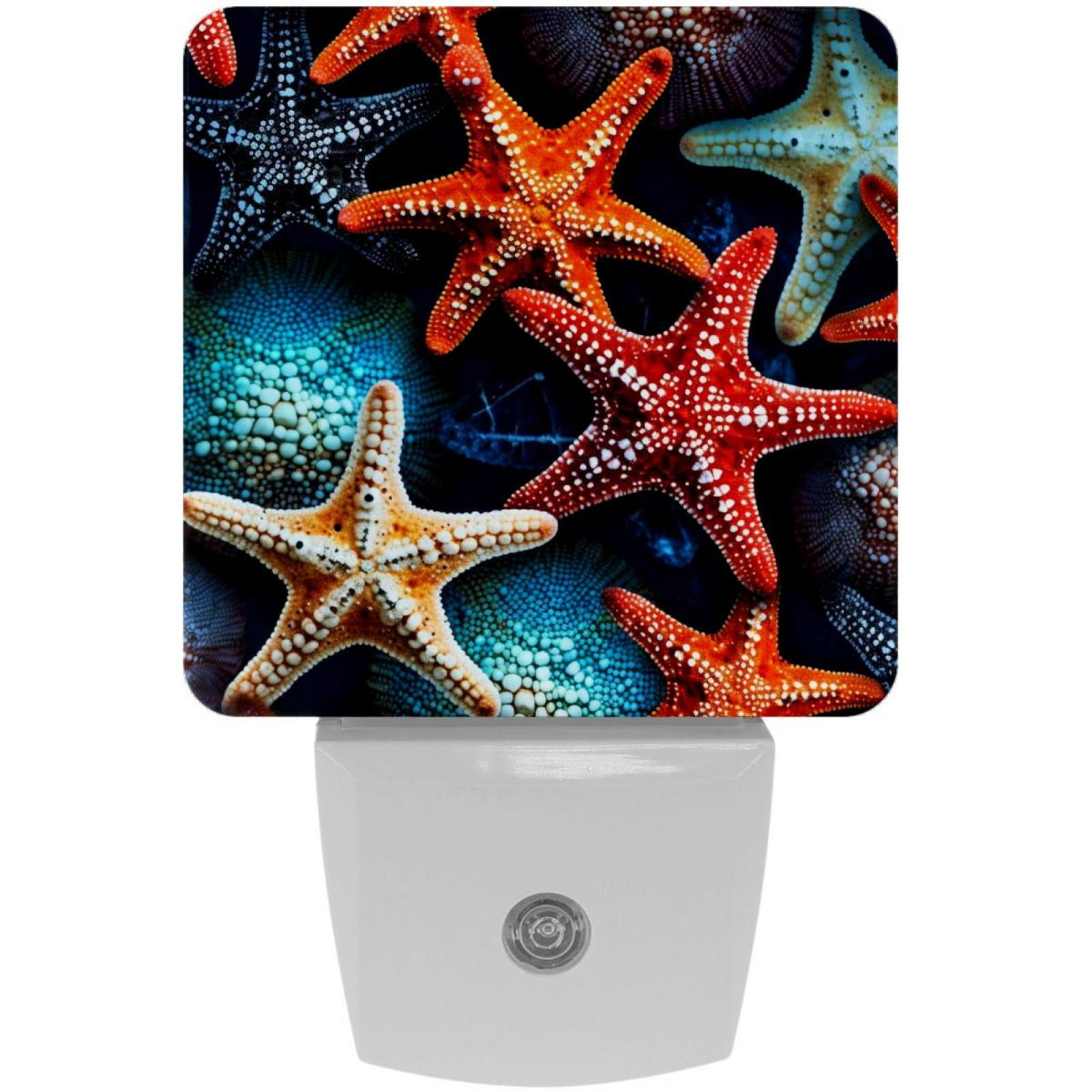 Starfish LED Square Night Lights - Modern and Versatile Plug-in ...