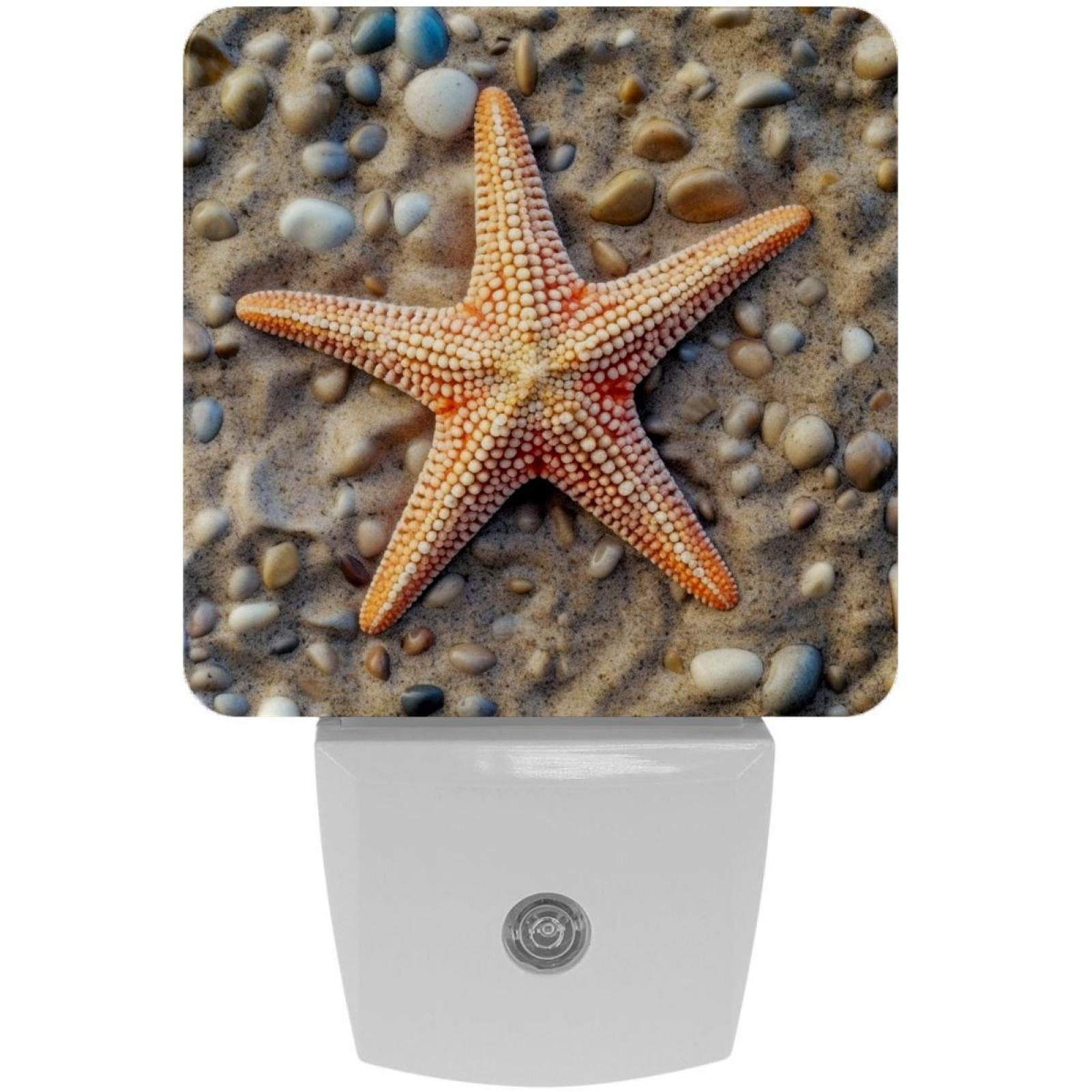 Starfish LED Square Night Lights - Portable and Stylish for Bedroom and ...
