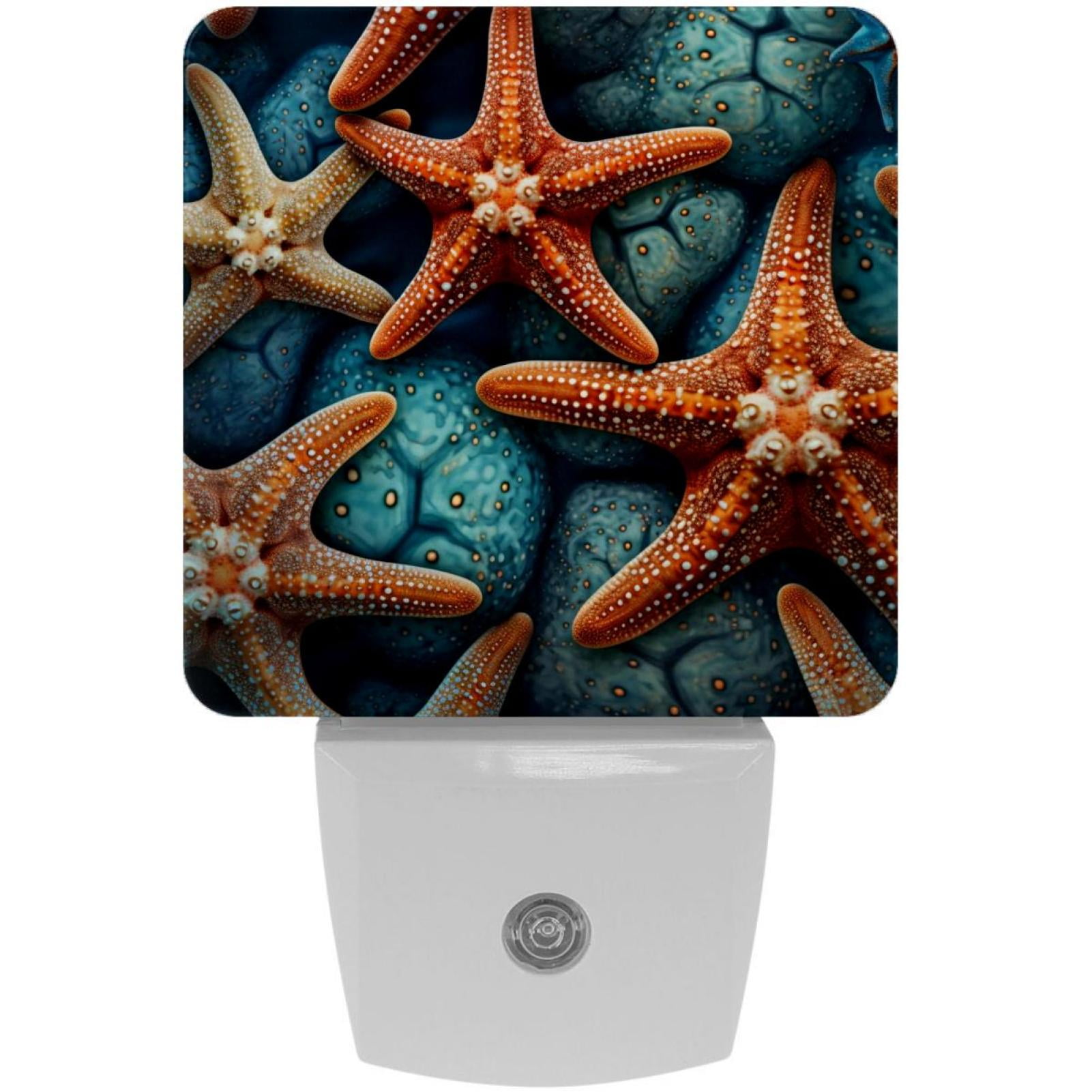 Starfish LED Square Night Lights - Small and Bright Illumination for ...