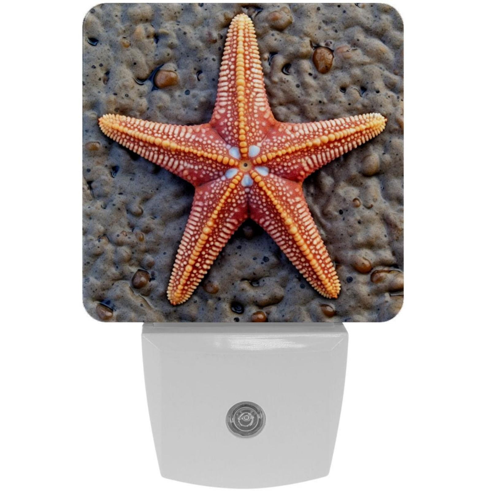 Starfish LED Square Night Lights for a Bright and Stylish Ambiance ...