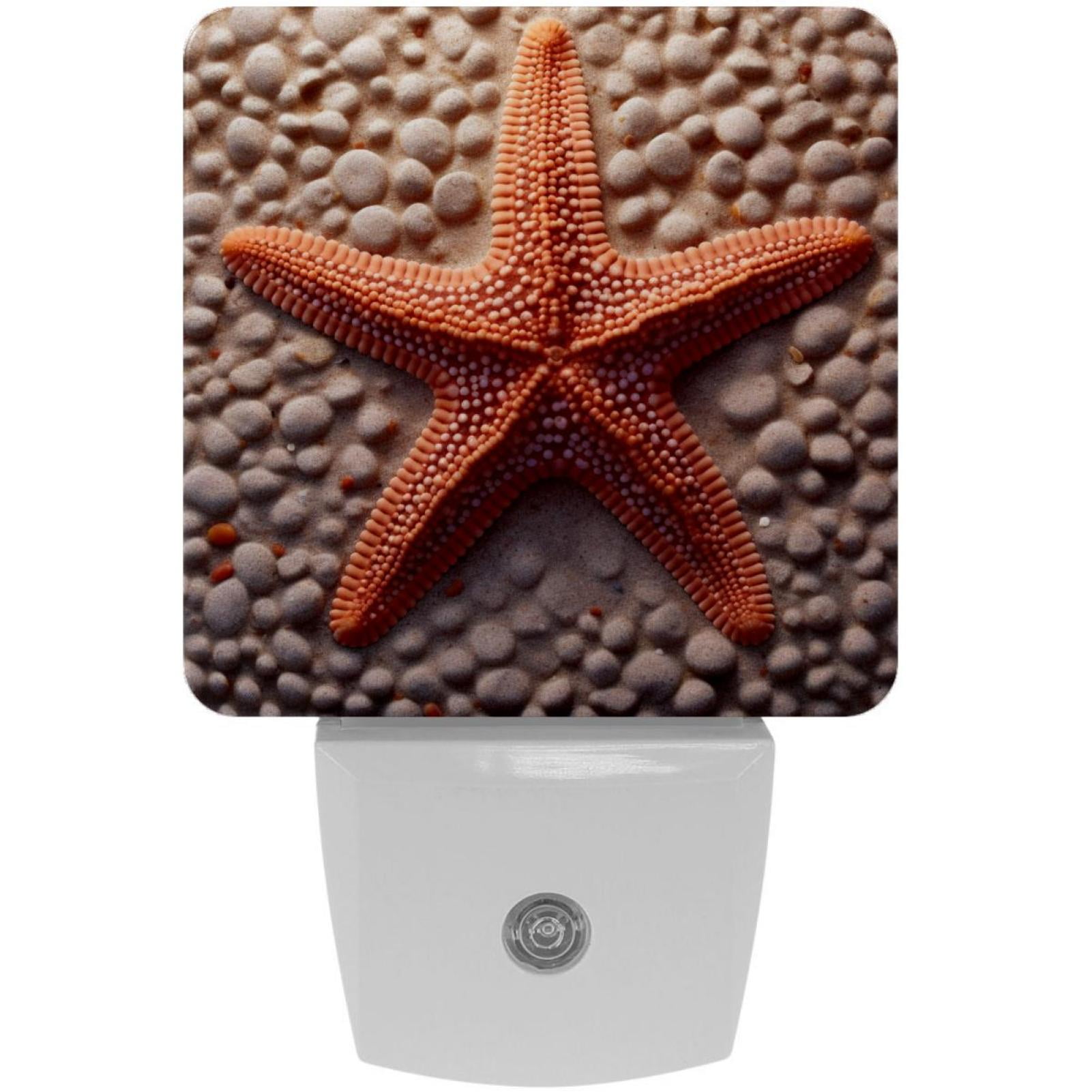 Starfish LED Square Night Lights with Motion Sensor - Modern and Energy ...