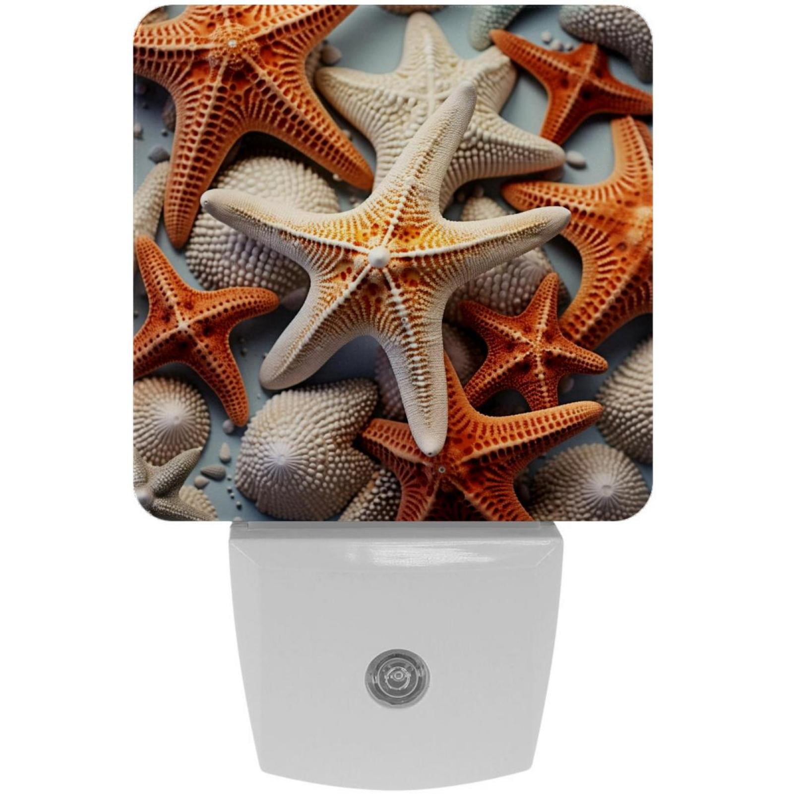 Starfish LED Square Night Lights with Motion Sensor - Modern and Energy ...