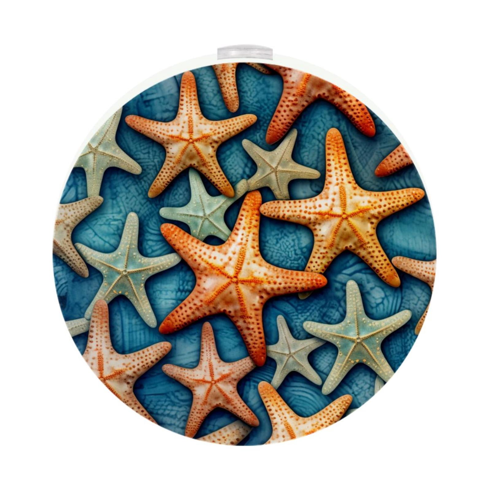 Starfish LED Wall Light - Room Lights for Small Spaces - Walmart.com