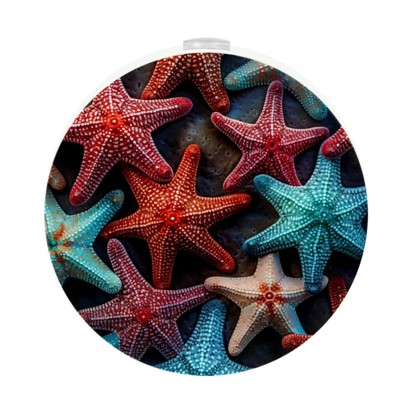 Starfish Led Round Night Light-2pcs, Dimmable Plug-in Mini Wall Lamp ...