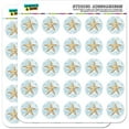Starfish Ocean Sea Creature Beach 50 1" Planner Calendar Scrapbooking ...