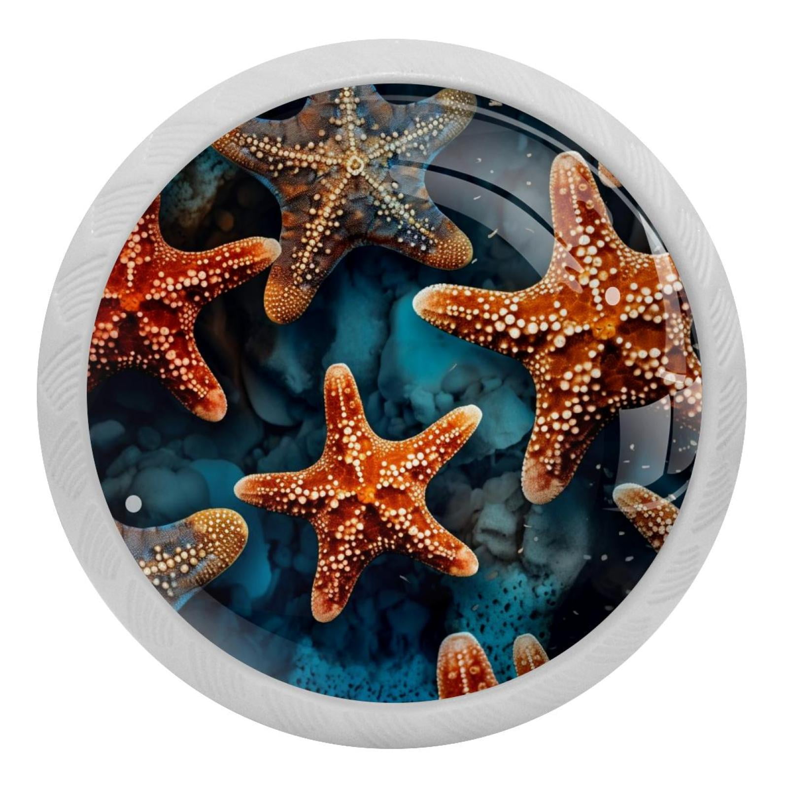 Starfish Pattern 4PCS Cabinet Knobs Pulls Fluorescent Drawer Handle Cabinet Drawer Dresser ...