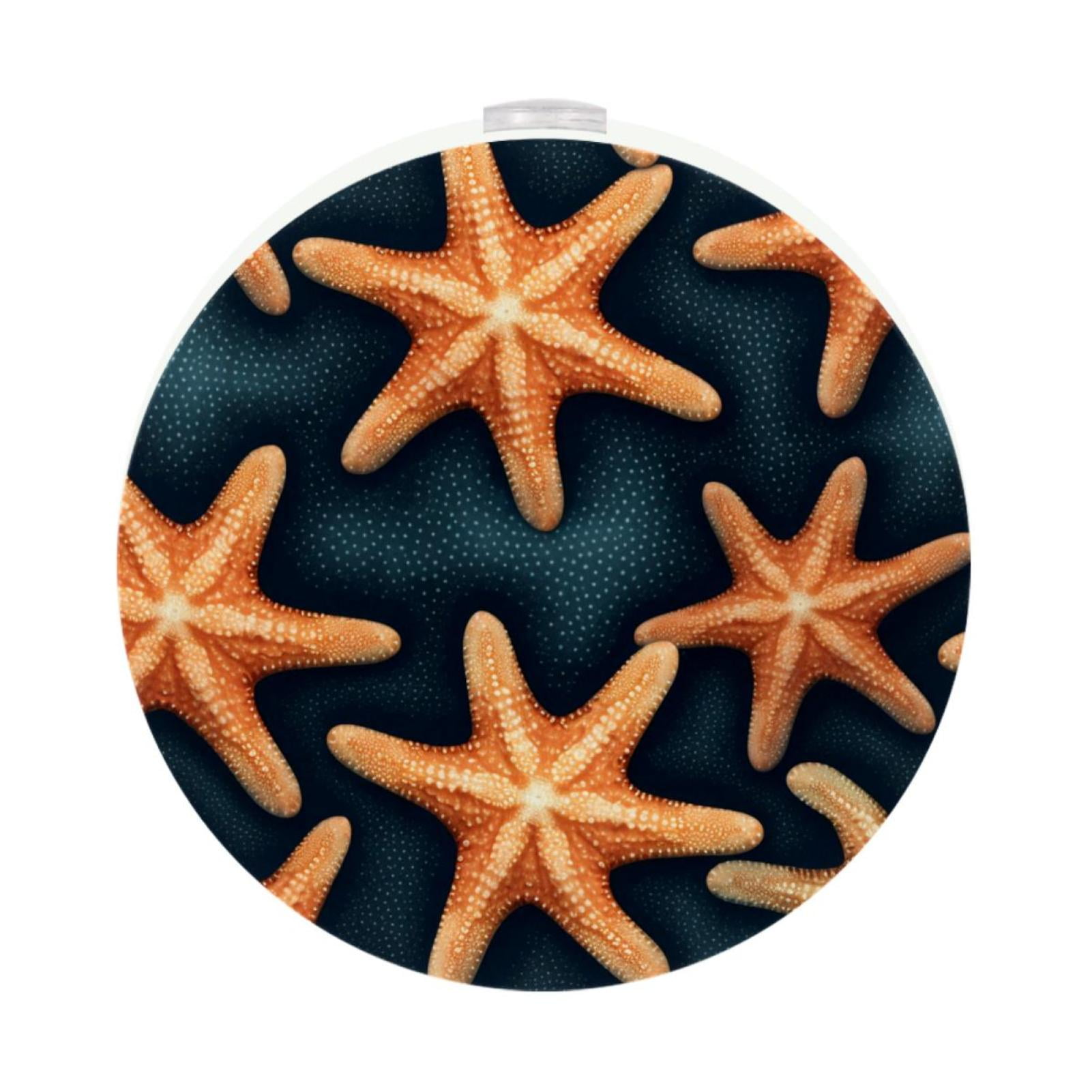 Starfish Set of 2 Circular Night Lights, LED Wall Light, ABS Material ...