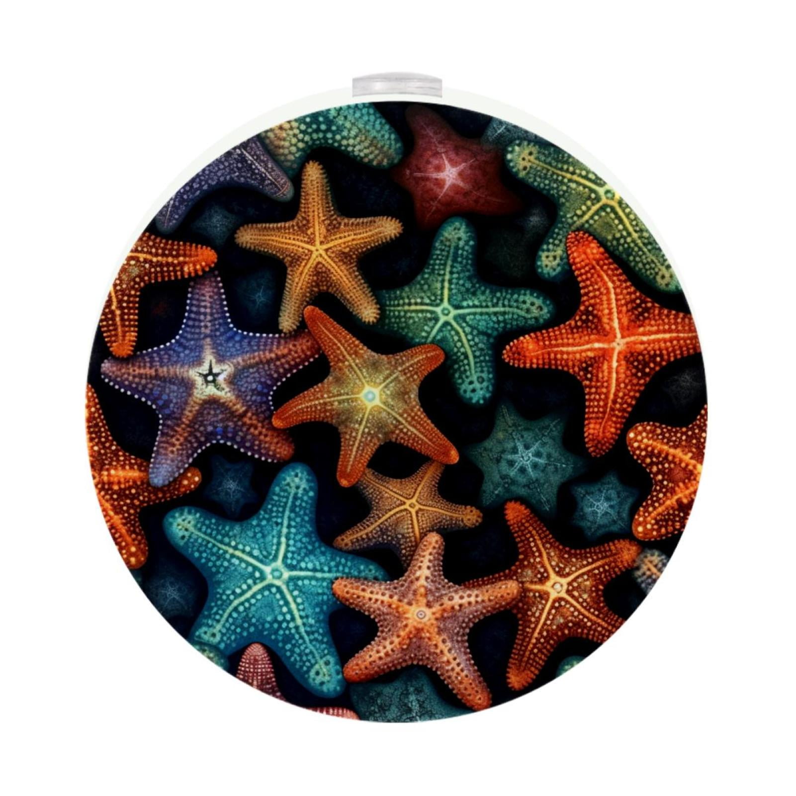 Starfish Small LED Night Light Wall Light - Set of 2, Induction Light ...