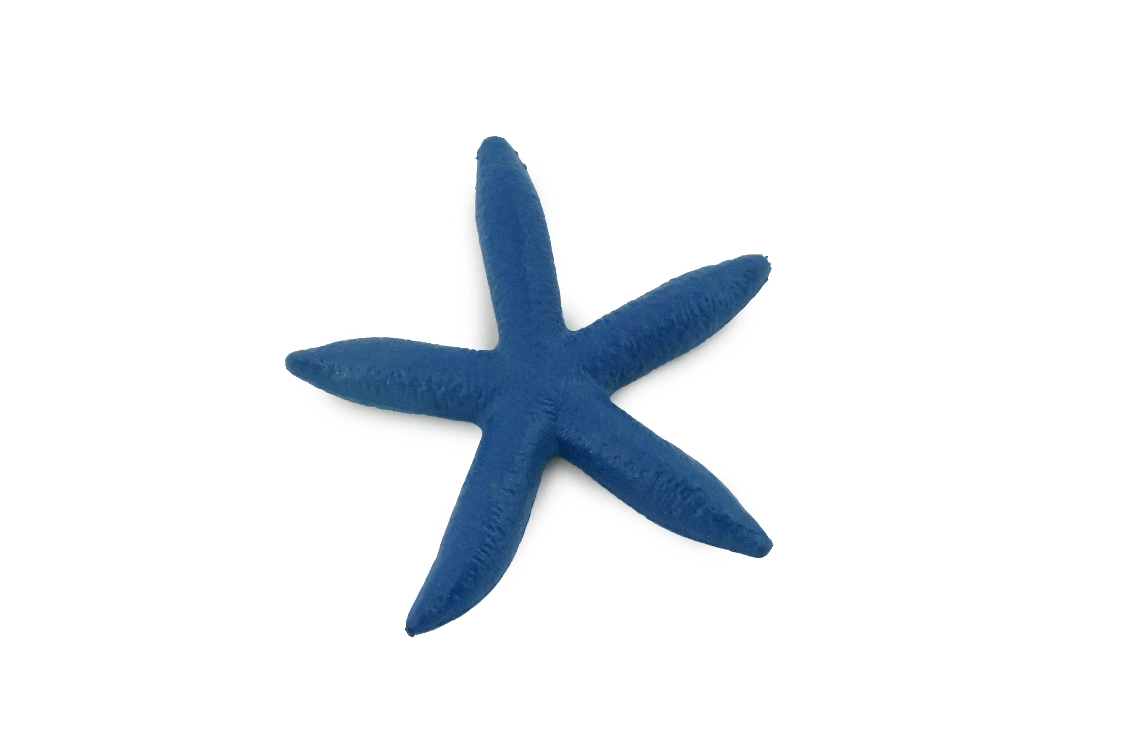 Starfish Toy, Blue, Sea Star, Echinoderms, Asteroidea, Ocean, Sea Life ...