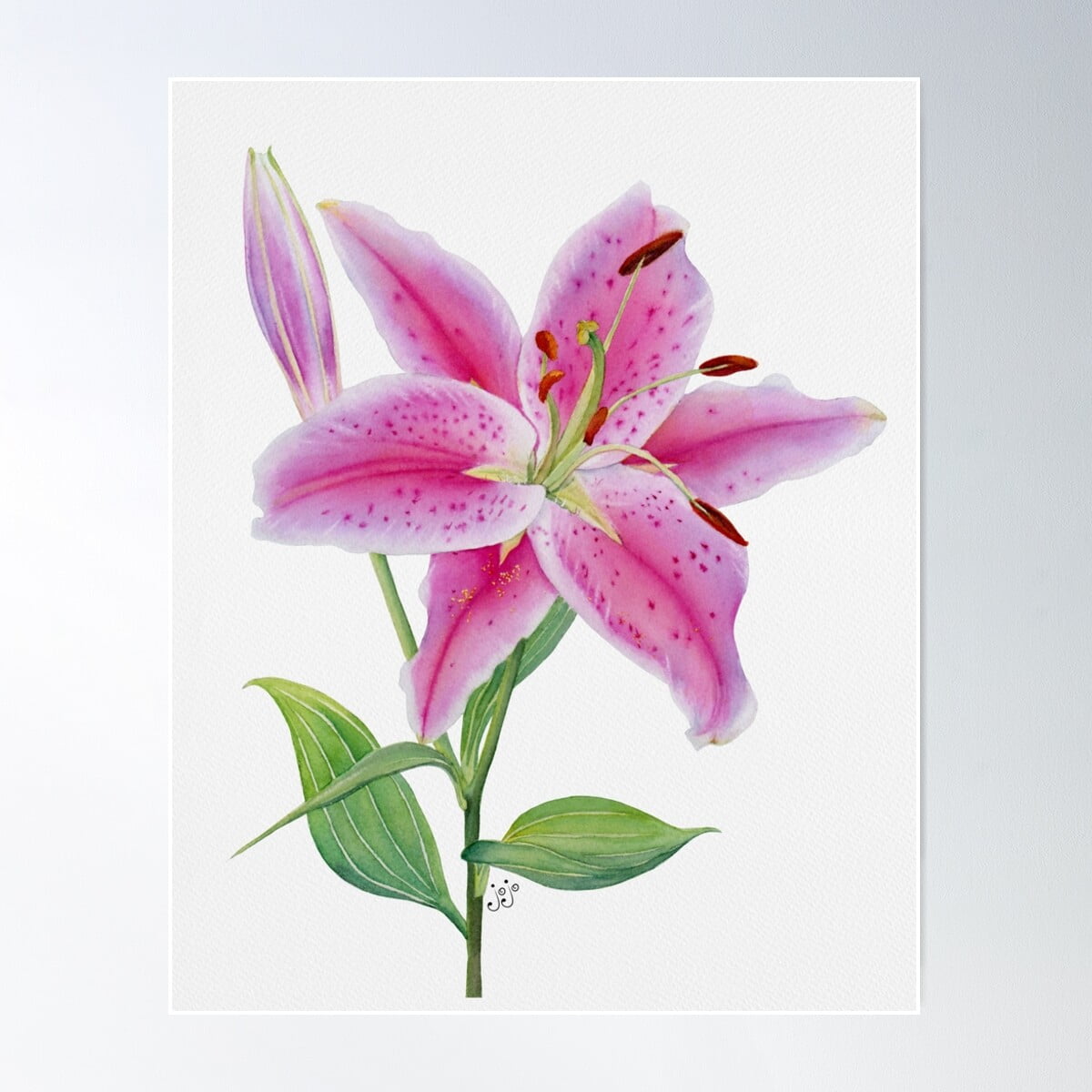 Stargazer Lily Watercolor Poster Wall Art, Modern Wall Decor For Living ...