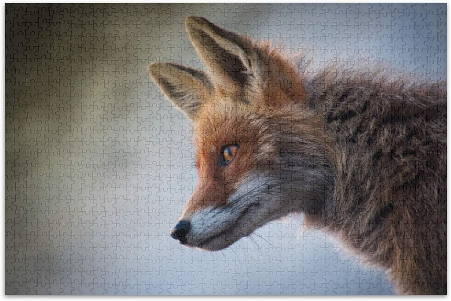 Staring Fox Jigsaw Puzzle 500 Pieces for Adults Teens Kids, Die-Cut ...