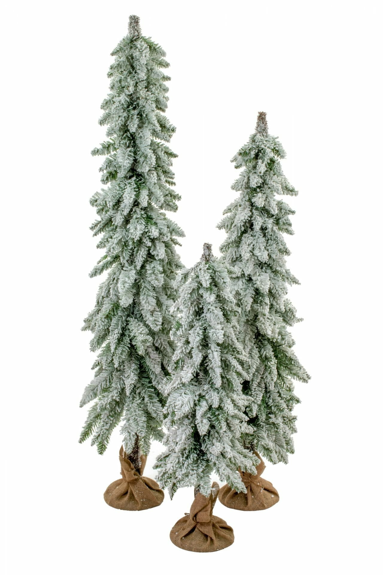Starlight Collection, Dark Green/White PVC Frosted Droopy Evergreen ...