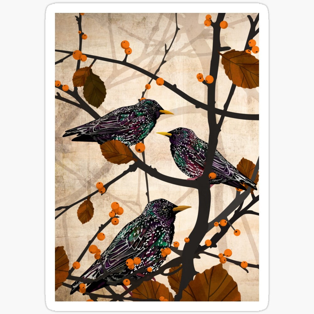 Starlings Sticker Phone Decal Water Bottle Stickers Car Decals, Laptop ...