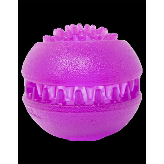 Starmark Snapper Trapper Venus Pet Toy, Large - Walmart Business Supplies