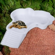 Reptile Water Dish Tortoise Habitat with Non-Slip Ramp Shallow Reptile ...
