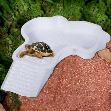 Reptile Water Dish Tortoise Habitat with Non-Slip Ramp Shallow Reptile ...