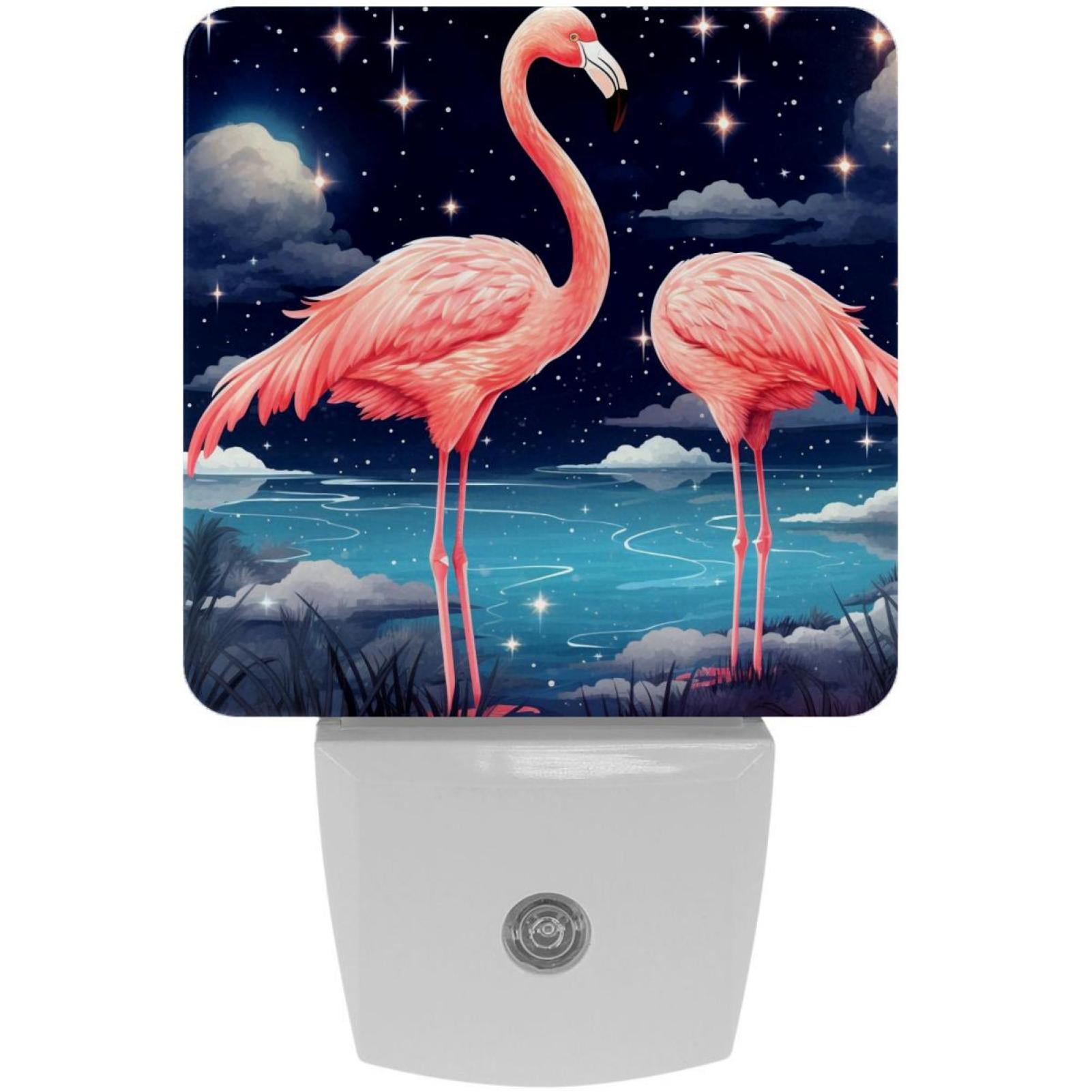 Starry Flamingos LED Square Night Lights - Energy Efficient and Stylish ...