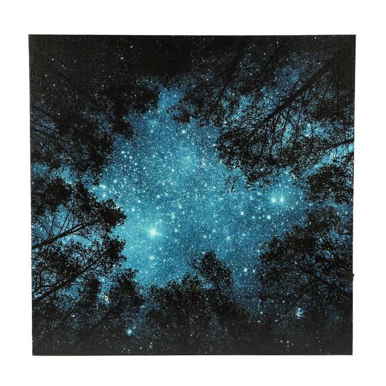 Starry Night Sky Canvas Print with LED Lights - Walmart.com