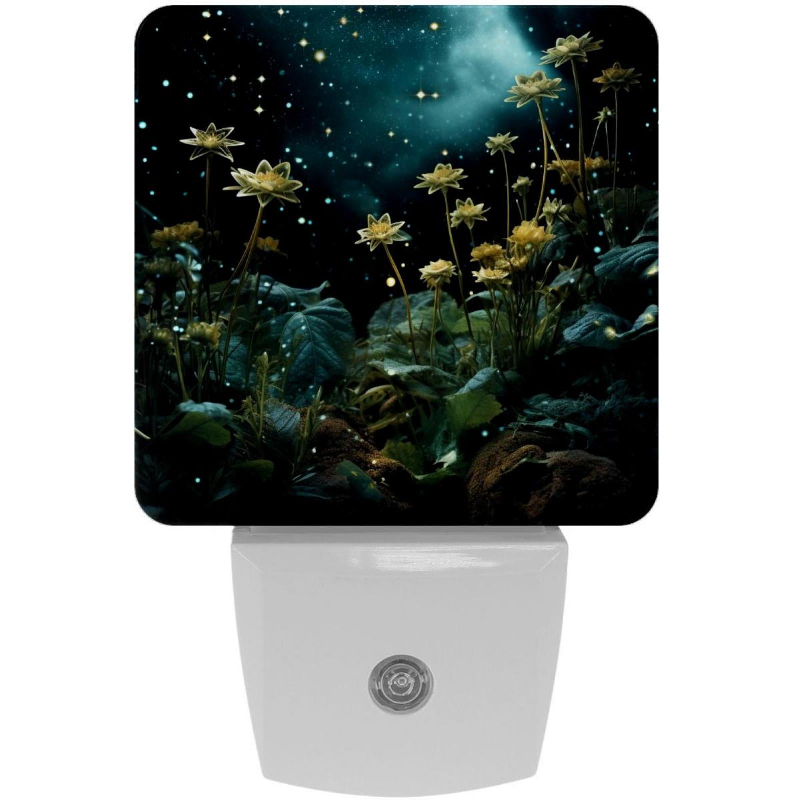 Starry sky plants LED Square Night Lights - Stylish and Functional ...