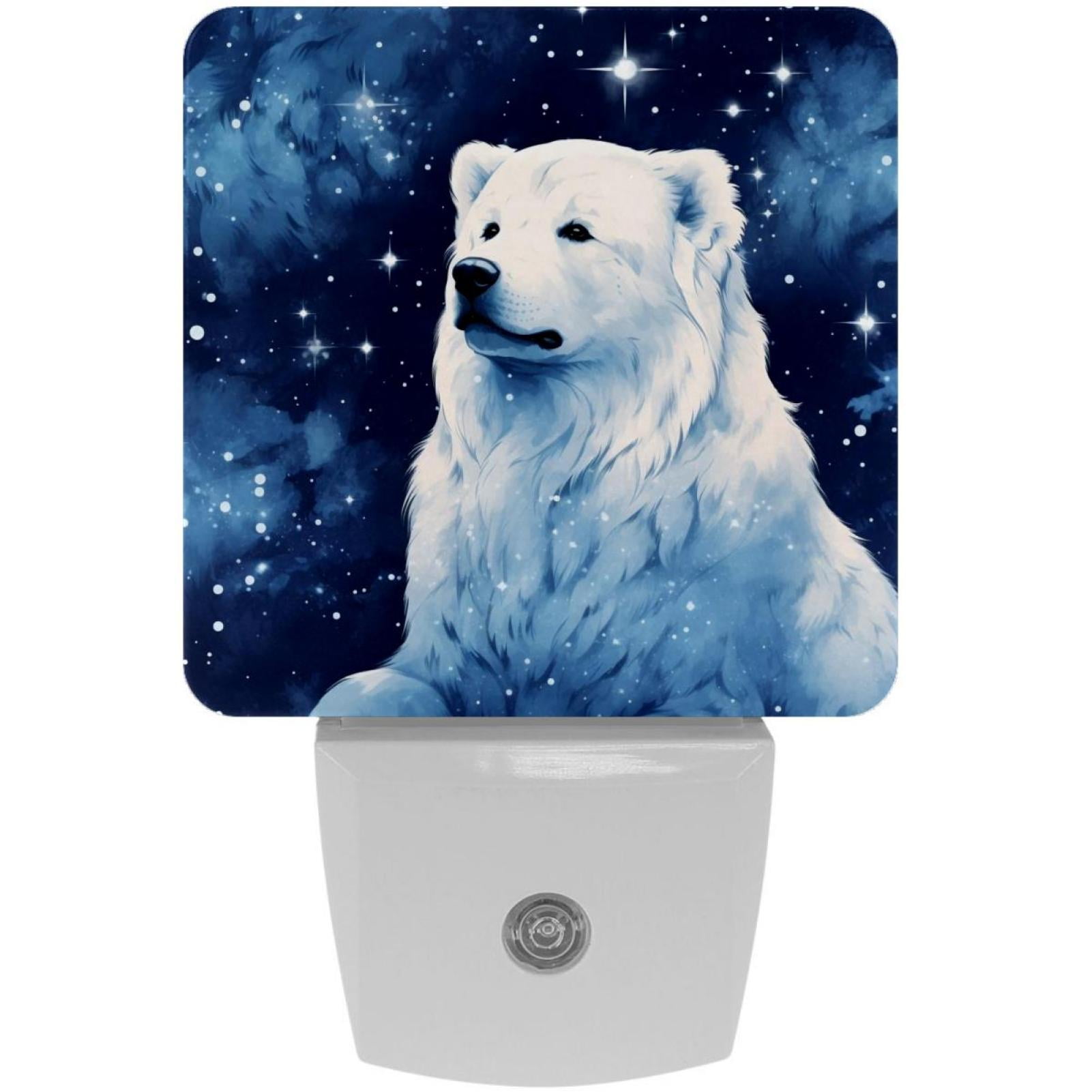 Starry sky polar bear LED Square Night Lights - Elegant and Energy ...