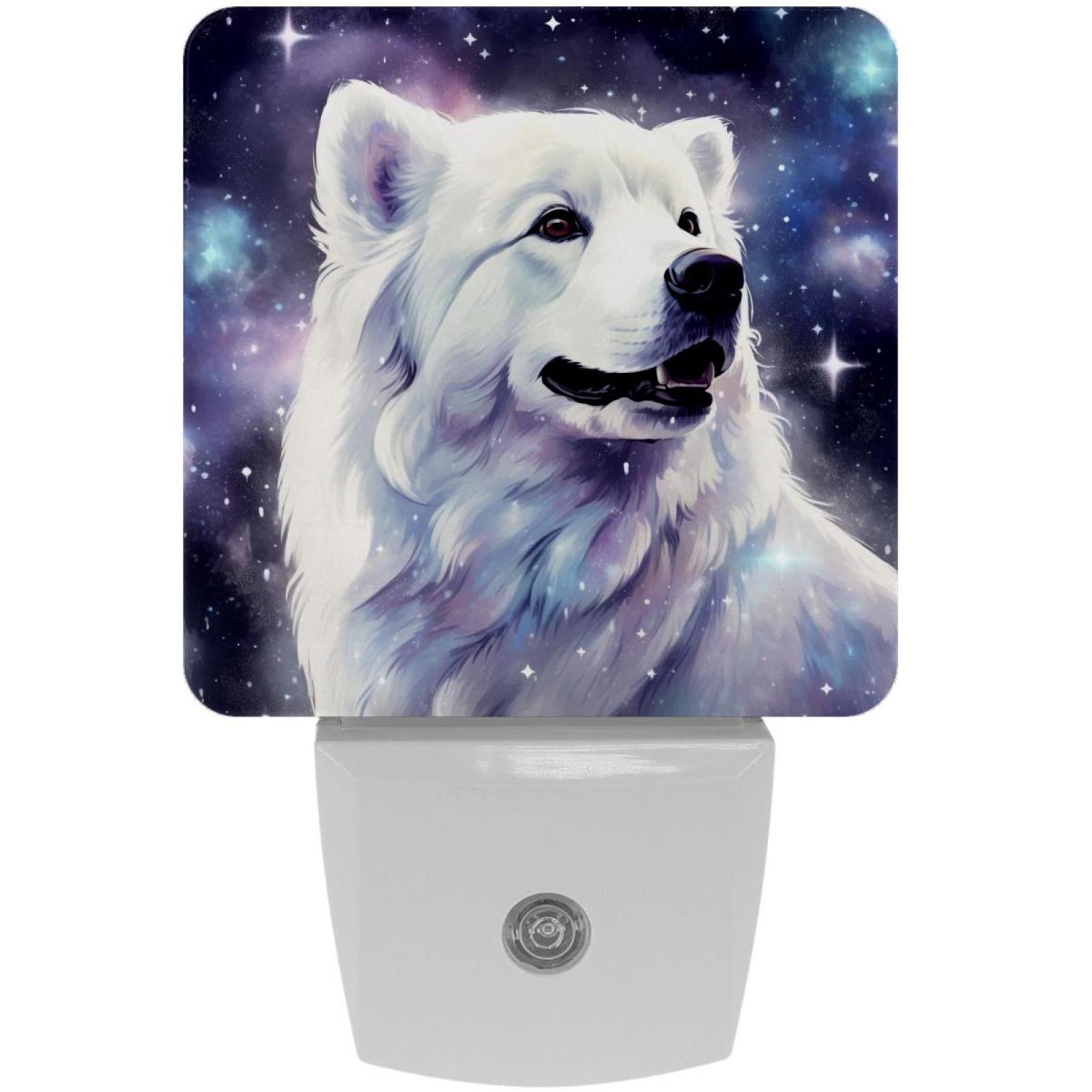 Starry sky polar bear LED Square Night Lights - Energy Efficient and ...