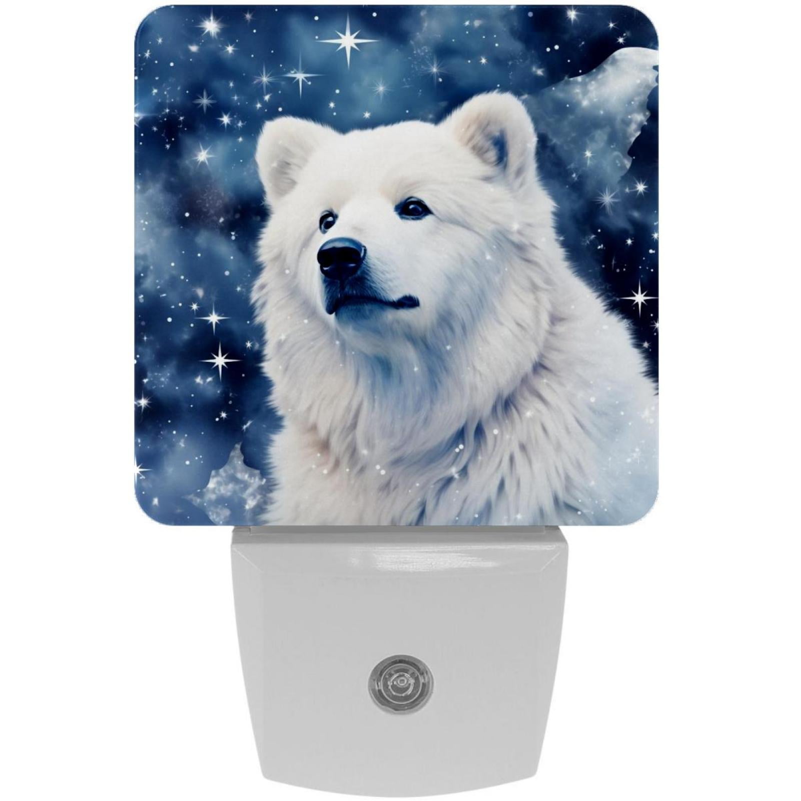 Starry sky polar bear LED Square Night Lights: Innovative Illumination ...